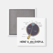 Here's An Eyeful (Eye Anatomy Humor) Magnet | Zazzle