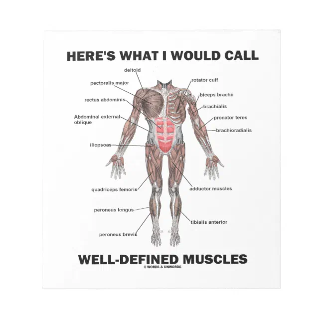 Here's What I Would Call Well-Defined Muscles Notepad | Zazzle