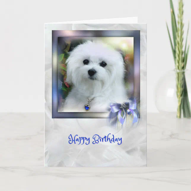 Hermes the Maltese Birthday Card | Zazzle