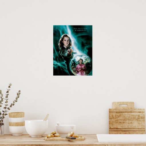 Hermione Granger and Professor Umbridge Poster | Zazzle