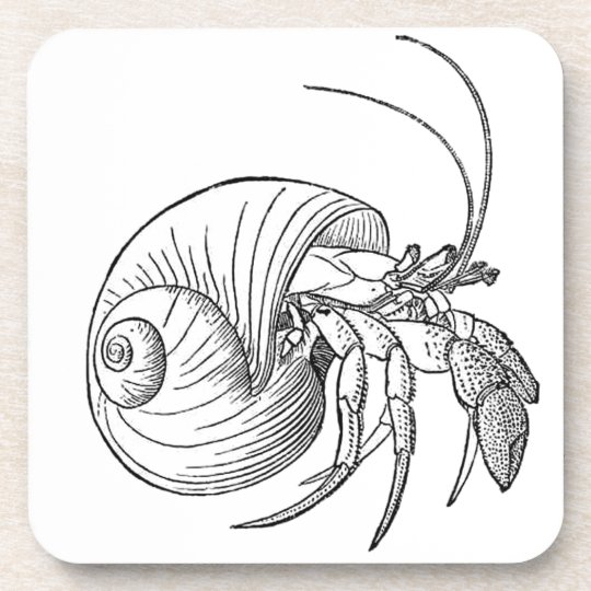 Hermit Crab Illustration (line art) Drink Coaster | Zazzle.com