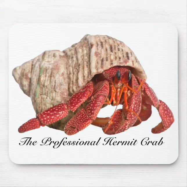 Hermit Crab Mousepad, The Professional Hermit Crab Mouse Pad | Zazzle