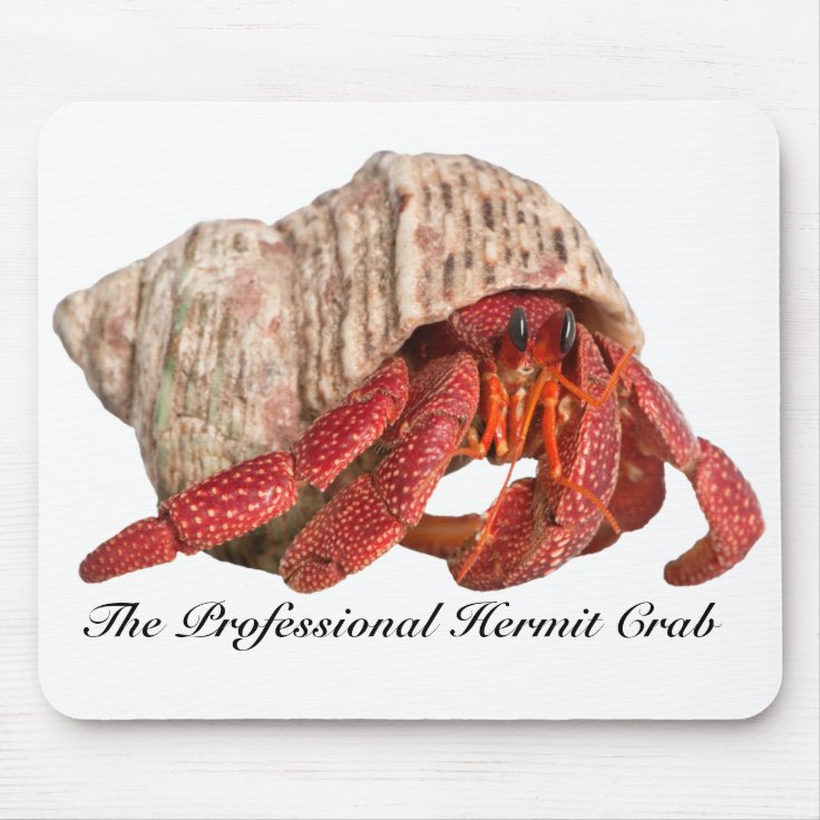Hermit Crab Mousepad, The Professional Hermit Crab Mouse Pad | Zazzle