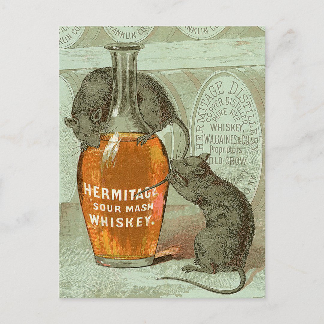 Hermitage Sour Mash Whiskey ad with two rats Postcard | Zazzle