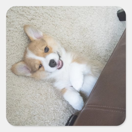 hey girl square sticker | Zazzle.com