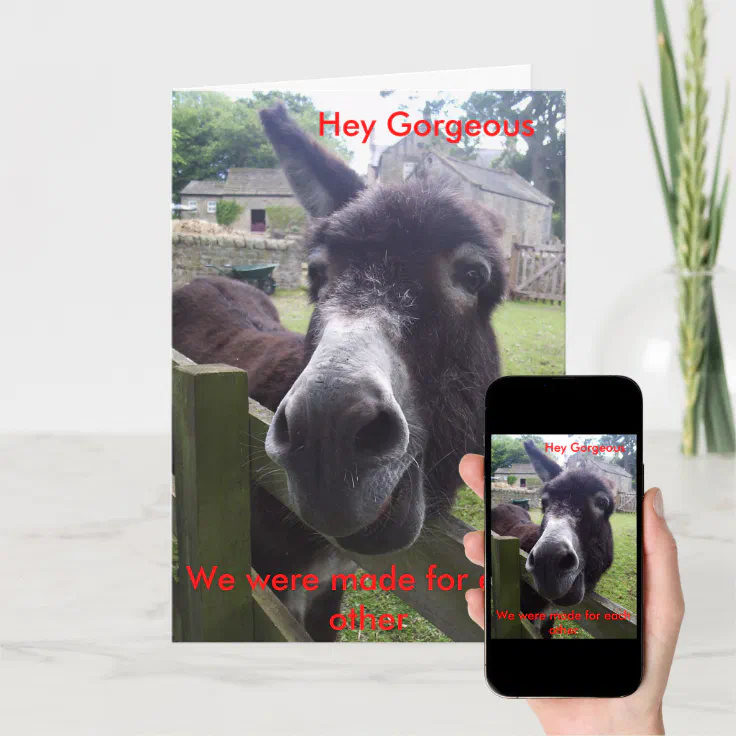 , Hey Gorgeous, Holiday Card | Zazzle