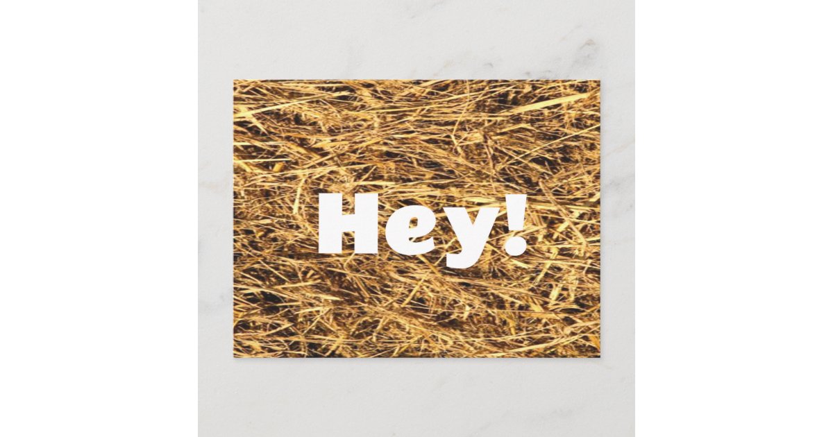 Hey! Hay Postcard | Zazzle