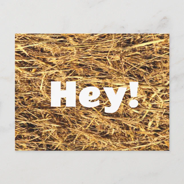 Hey! Hay Postcard | Zazzle