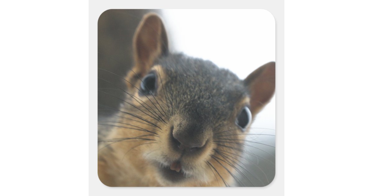 Hey there square sticker | Zazzle