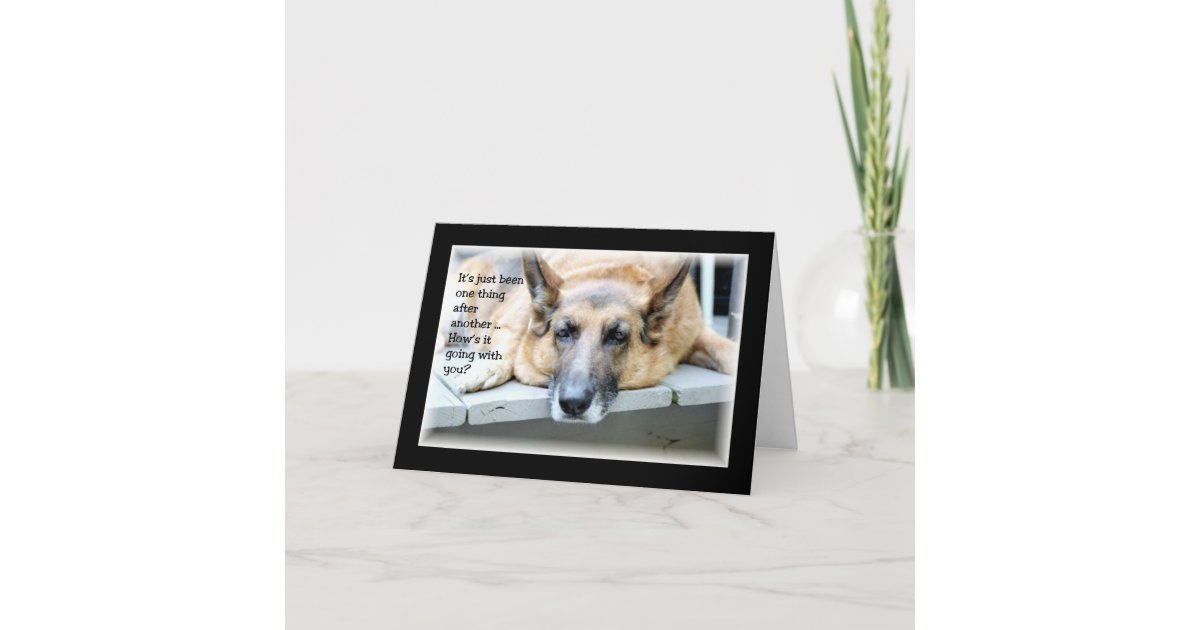 Hi Hello Card | Zazzle