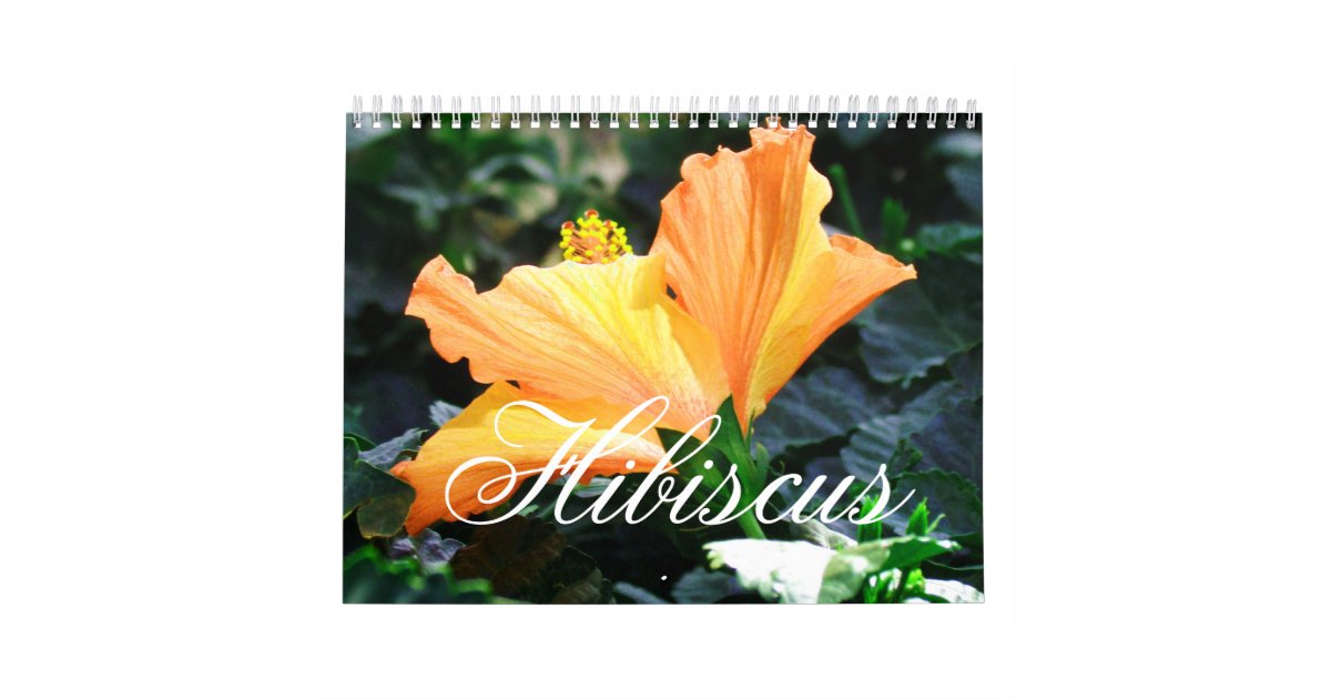Hibiscus Calendar | Zazzle