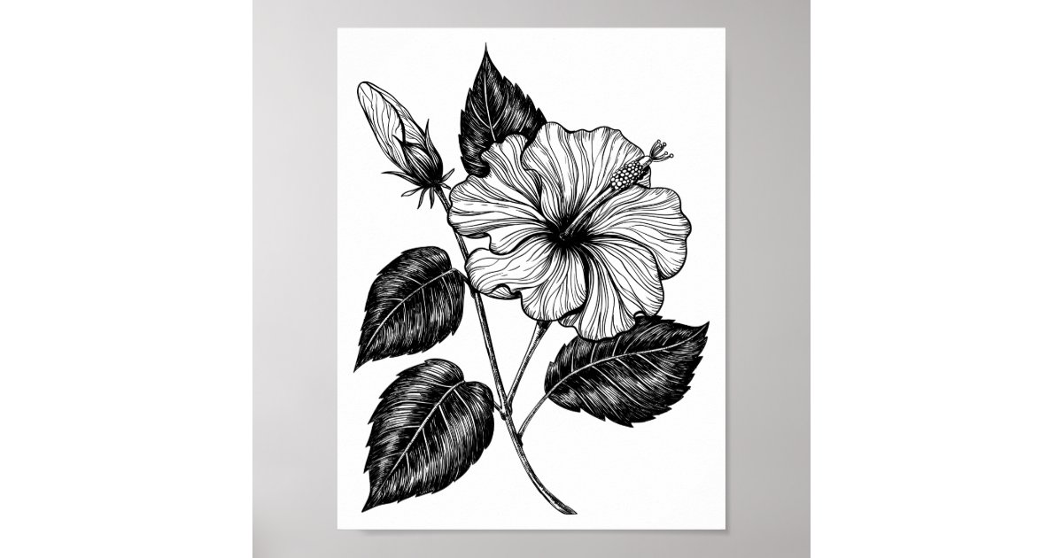 Hibiscus flower II Poster | Zazzle