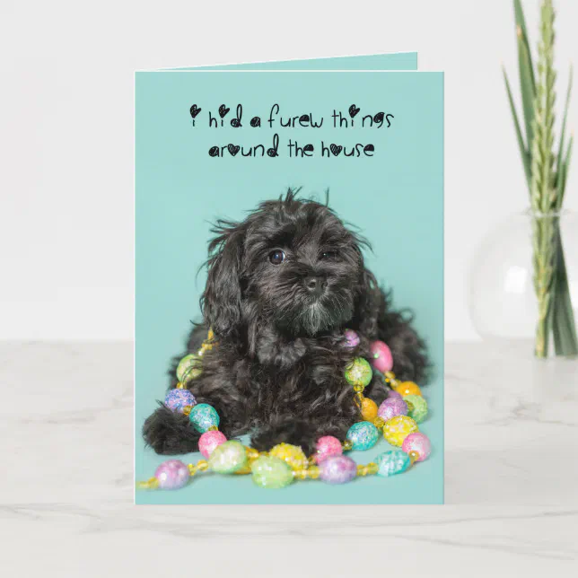 Hid a few things Puppy Dog Easter card | Zazzle