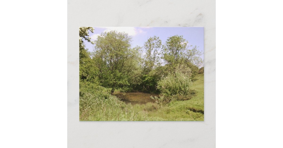 Hidden Pond Photo Postcard | Zazzle