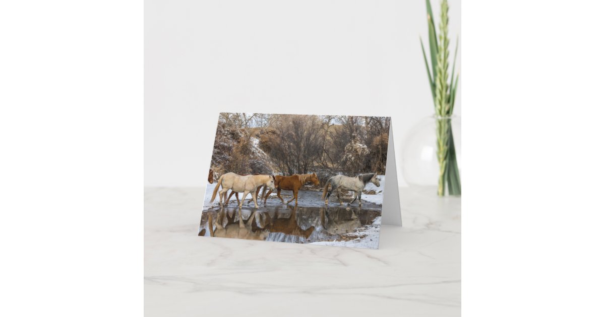 Hideout Horse Ranch Card | Zazzle