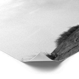 High angle view black and white view of poster | Zazzle