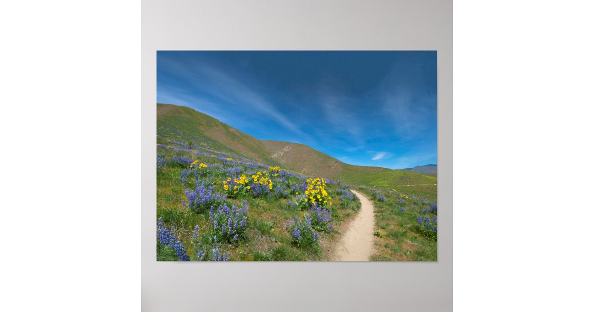 High Desert Spring Bloom Poster | Zazzle
