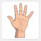 High Five Open Hand Sign Five Fingers Gesture Square Sticker | Zazzle