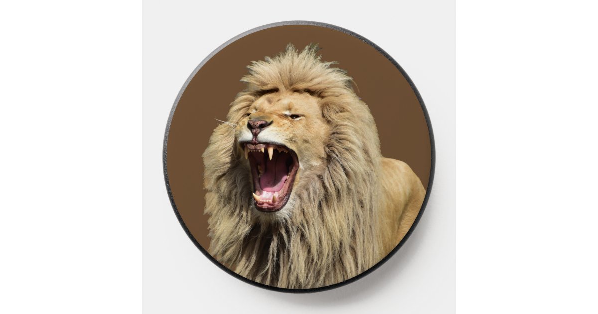 High Tension Lion PopSocket | Zazzle