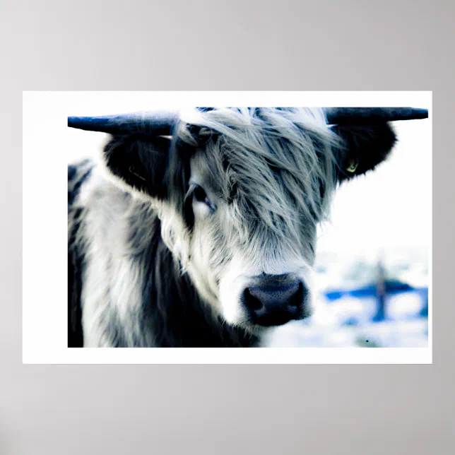 Highland Blue Poster | Zazzle
