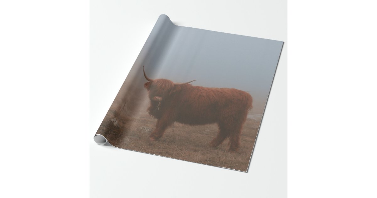 HIGHLAND CATTLE COW WRAPPING PAPER | Zazzle