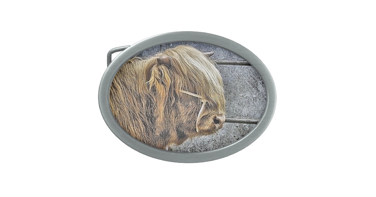 HIGHLAND COW BELT BUCKLE | Zazzle