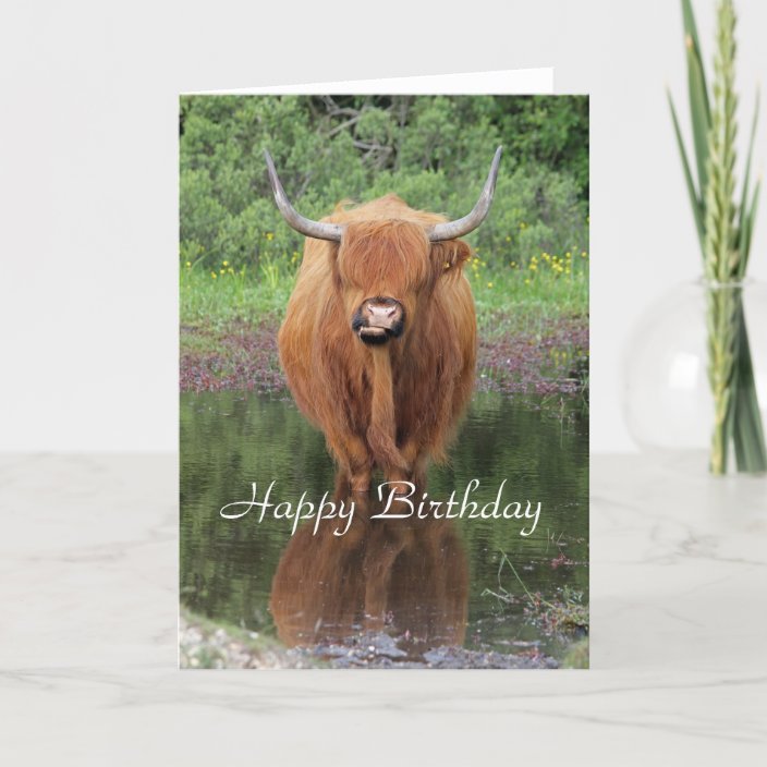 Highland cow birthday card | Zazzle.com