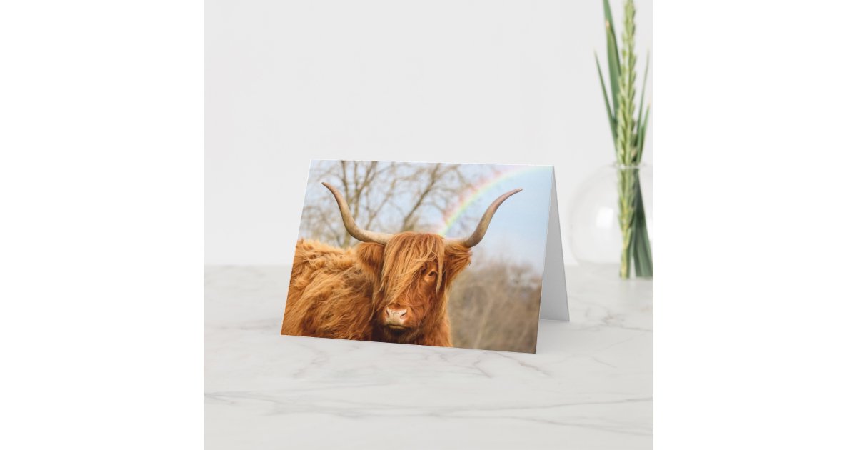 Highland Cow Birthday Card | Zazzle