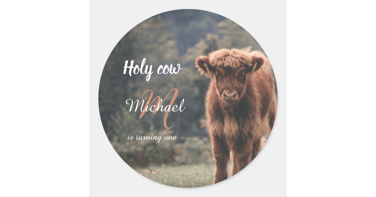 Highland cow calf monogram first birthday party classic round sticker ...