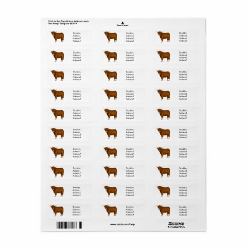 Highland cow cartoon illustration label | Zazzle