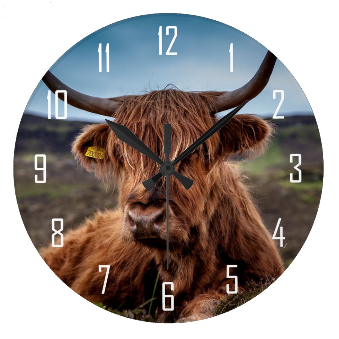Highland Cow Large Clock | Zazzle