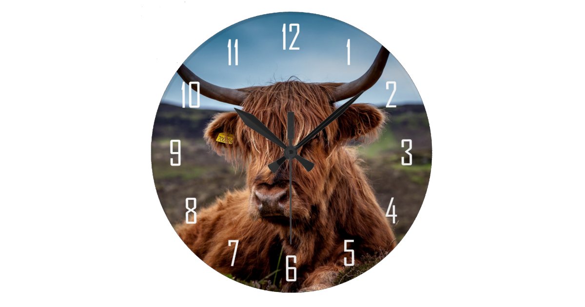 Highland Cow Large Clock | Zazzle
