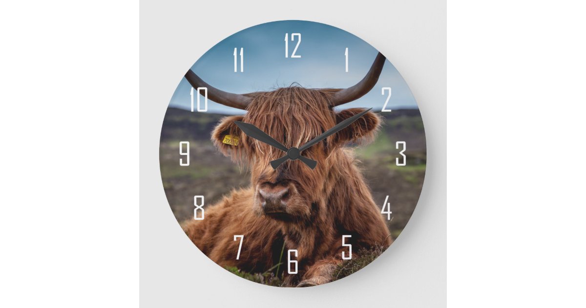 Highland Cow Large Clock | Zazzle