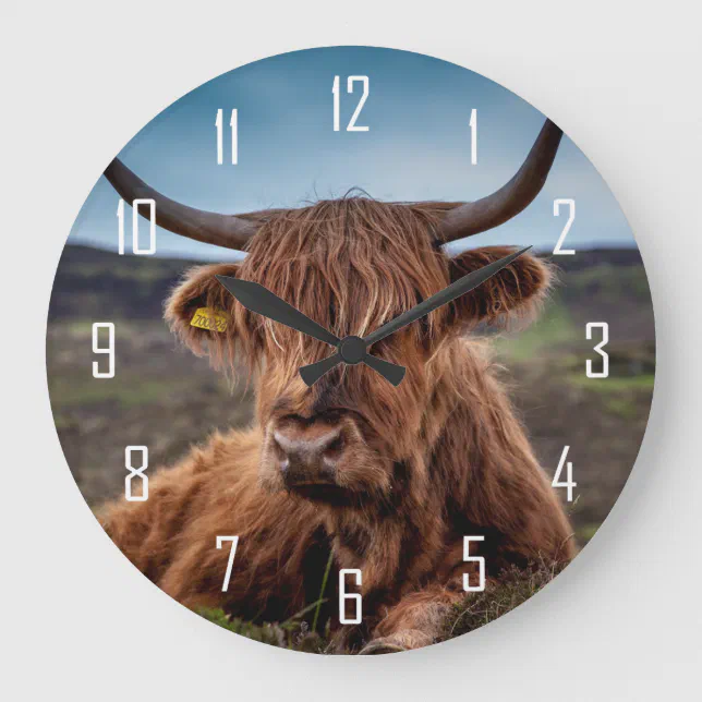 Highland Cow Large Clock | Zazzle