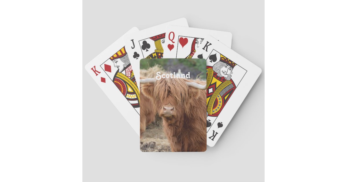 Highland Cow Poker Cards | Zazzle