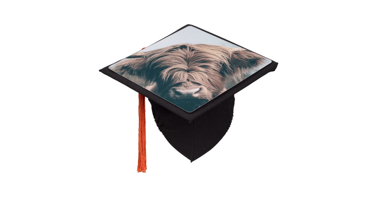 Highland cow portrait graduation cap topper | Zazzle