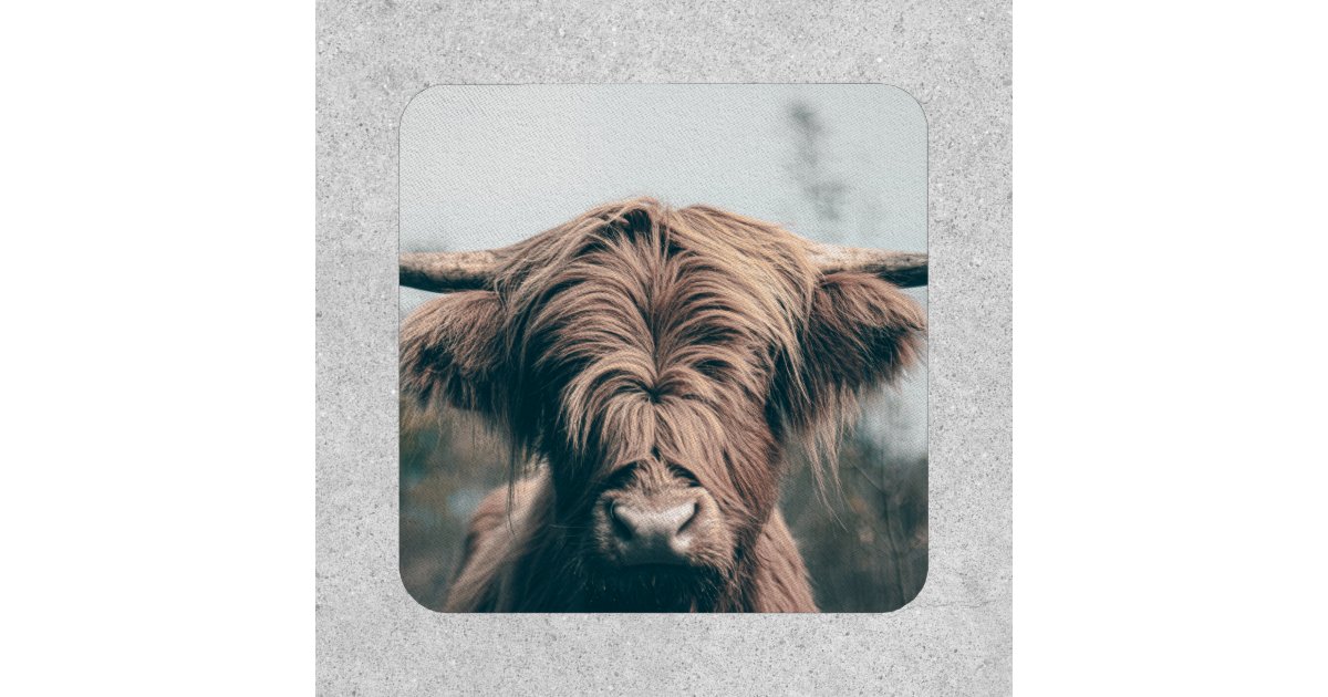 Highland cow portrait patch | Zazzle