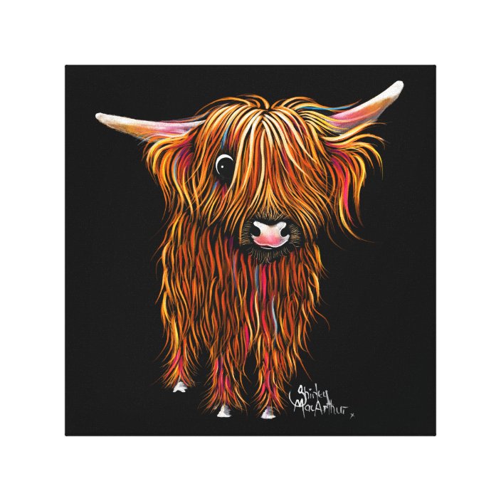 HiGHLaND CoW PRiNT ‘ PoRRiDGe ‘ SHiRLeY MacARTHuR | Zazzle.com