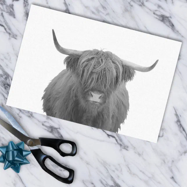 Highland Cow Scotland Rustic Black White Tissue Paper | Zazzle