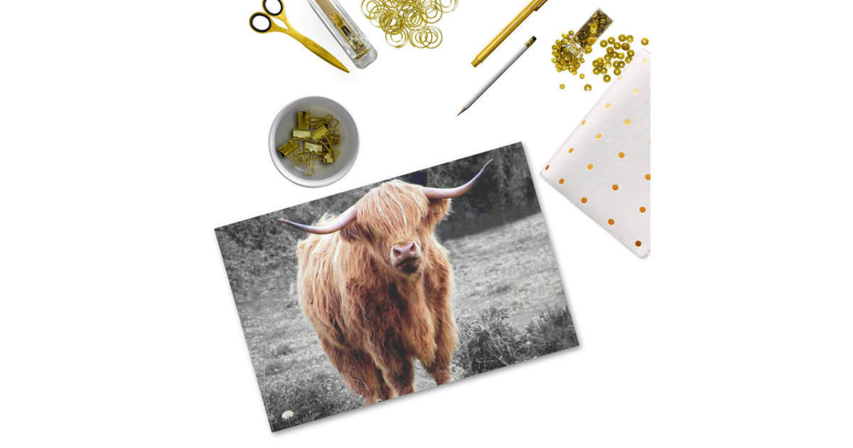 Highland Cow Scotland Rustic Tissue Paper | Zazzle