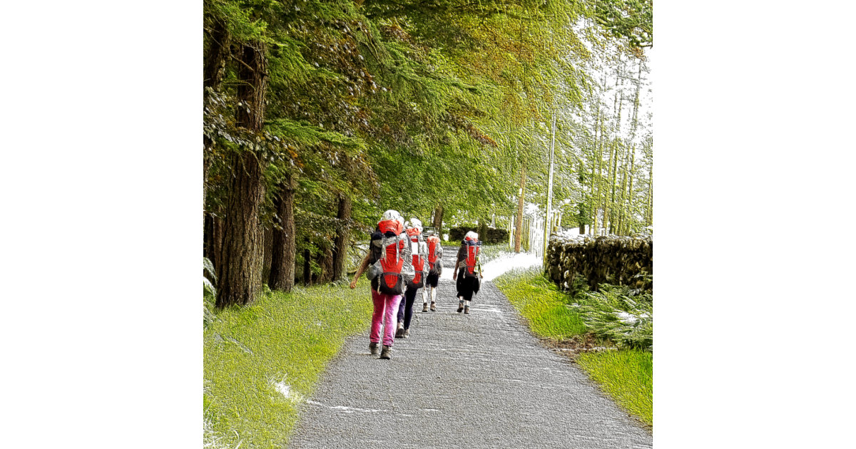 HIKING CARD | Zazzle