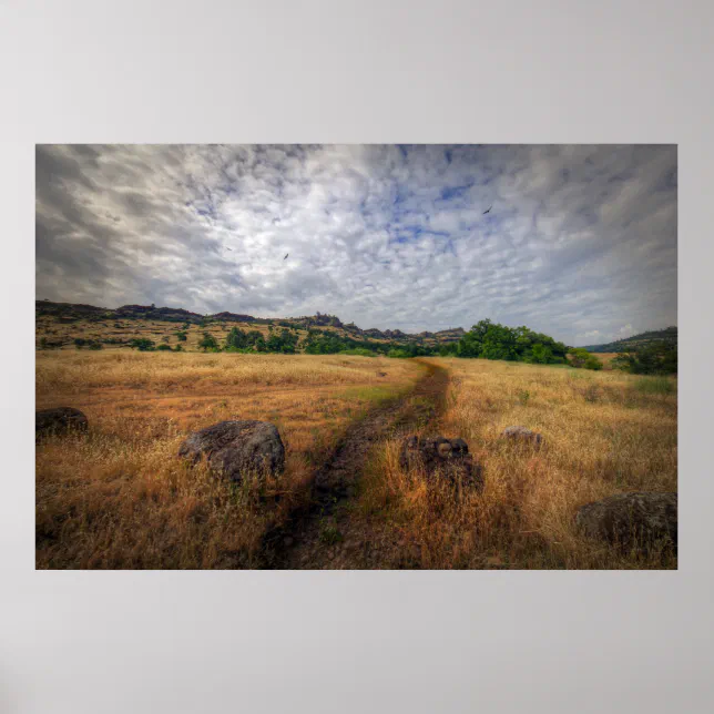 Hiking Trail Poster | Zazzle
