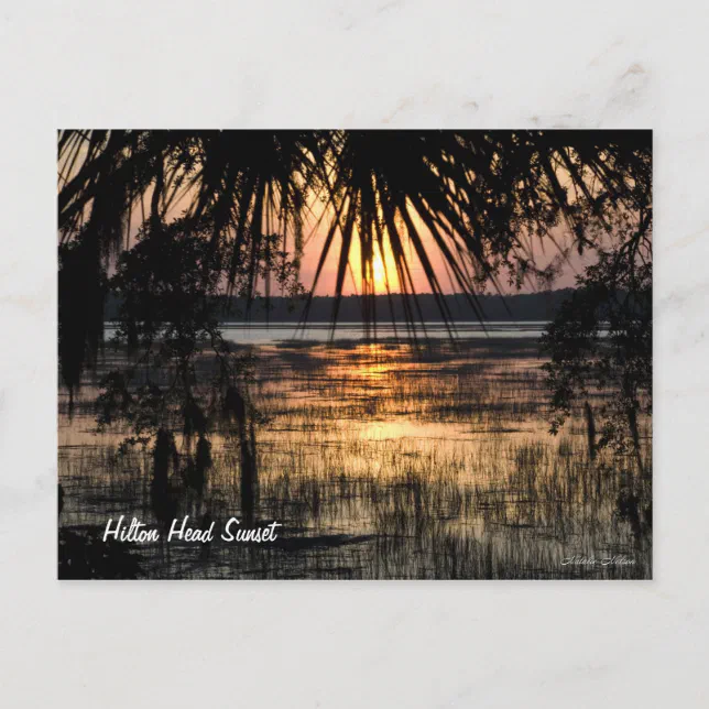 Hilton Head Sunset Postcard | Zazzle