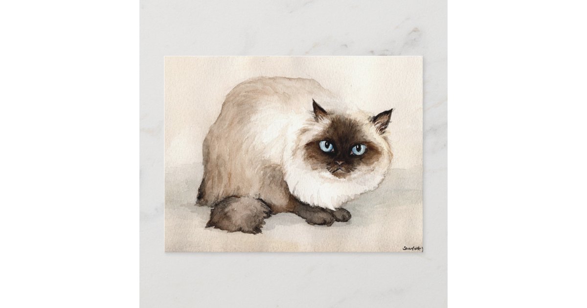 Himalayan Cat Original Art Postcard | Zazzle