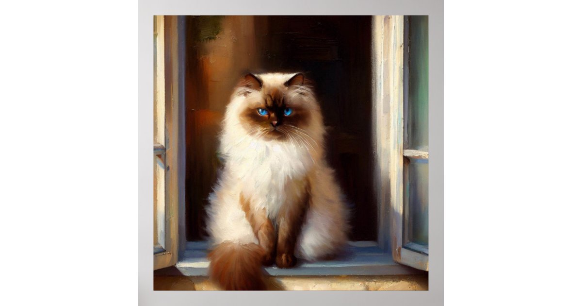 Himalayan Cat Poster | Zazzle