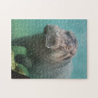hippo-4 jigsaw puzzle | Zazzle