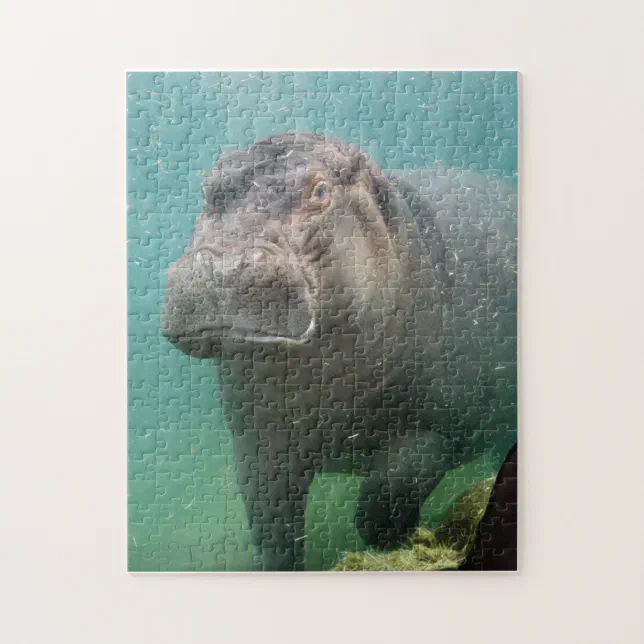 hippo-4 jigsaw puzzle | Zazzle