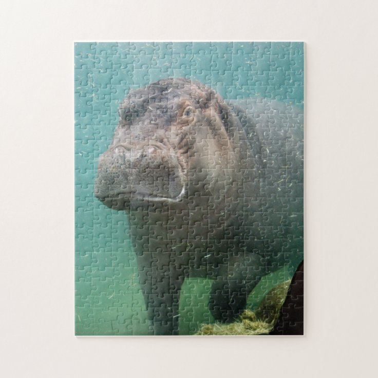 hippo-4 jigsaw puzzle | Zazzle