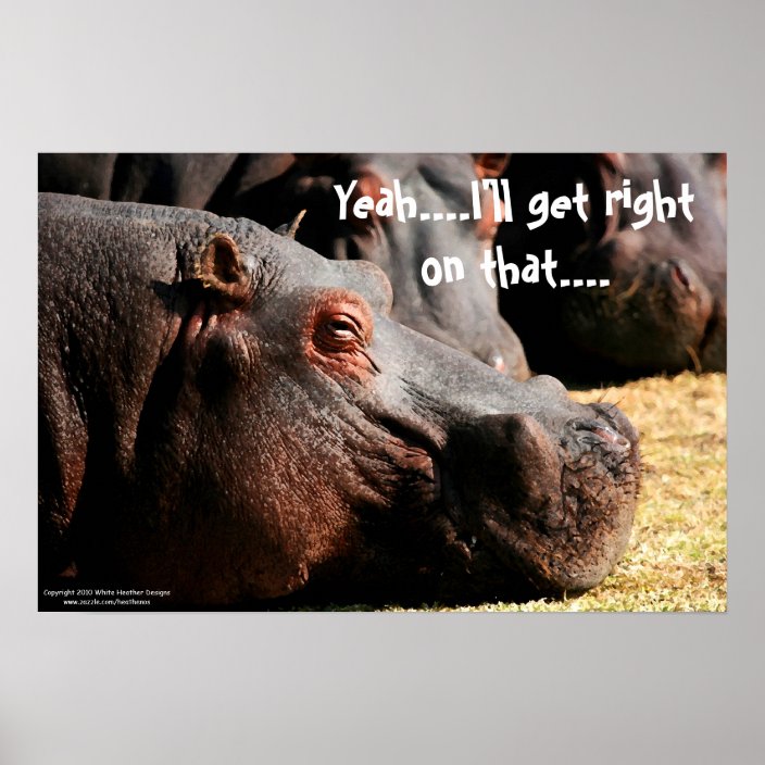 Hippo attitude "I'll get right on that" poster | Zazzle.com