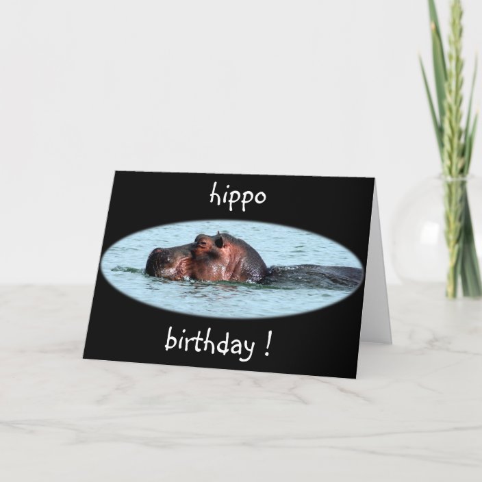 hippo birthday card | Zazzle.com
